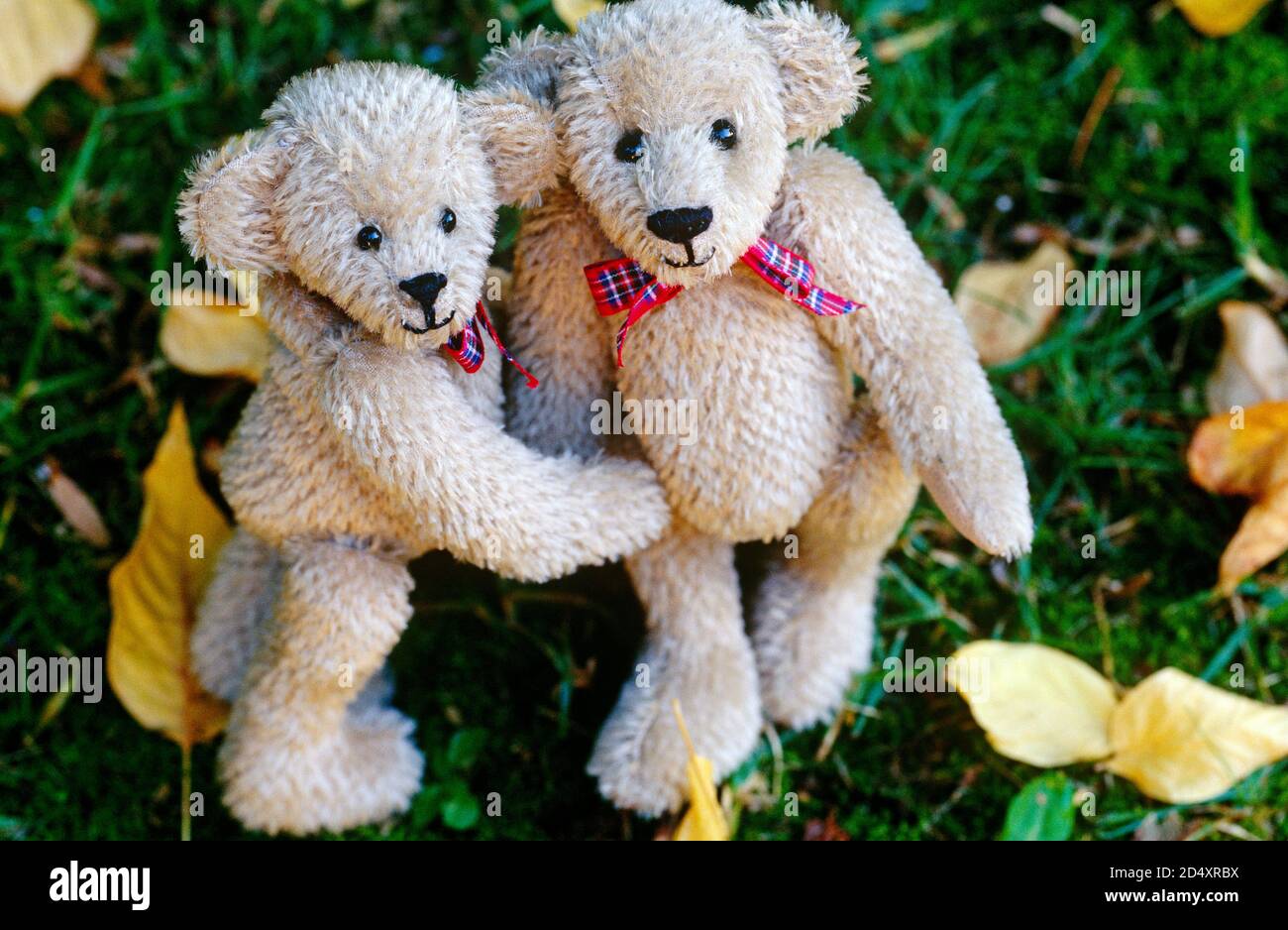 Two teddy bears hugging hi-res stock photography and images - Alamy