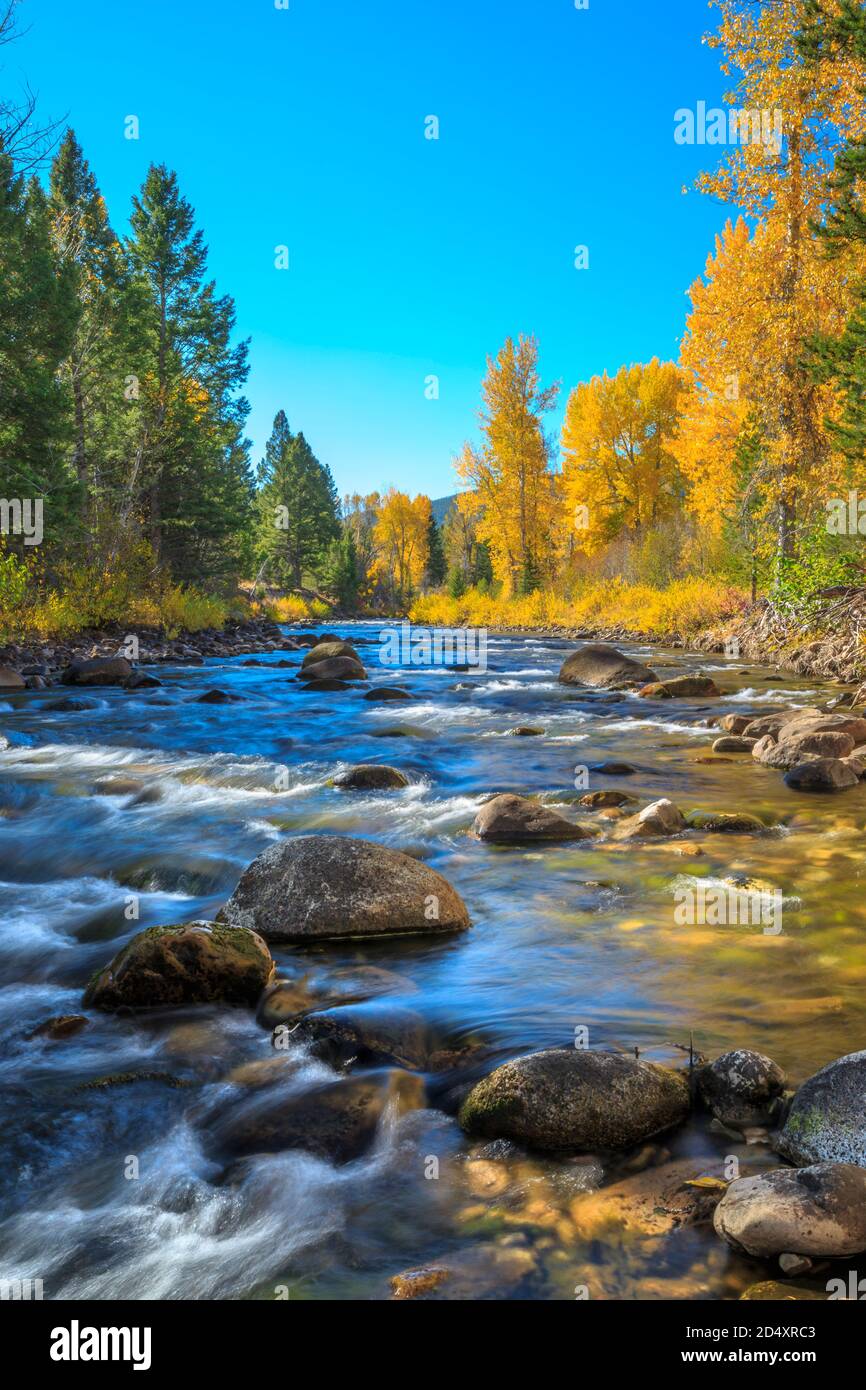 fall colors along the wise river near wise river, montana Stock Photo ...