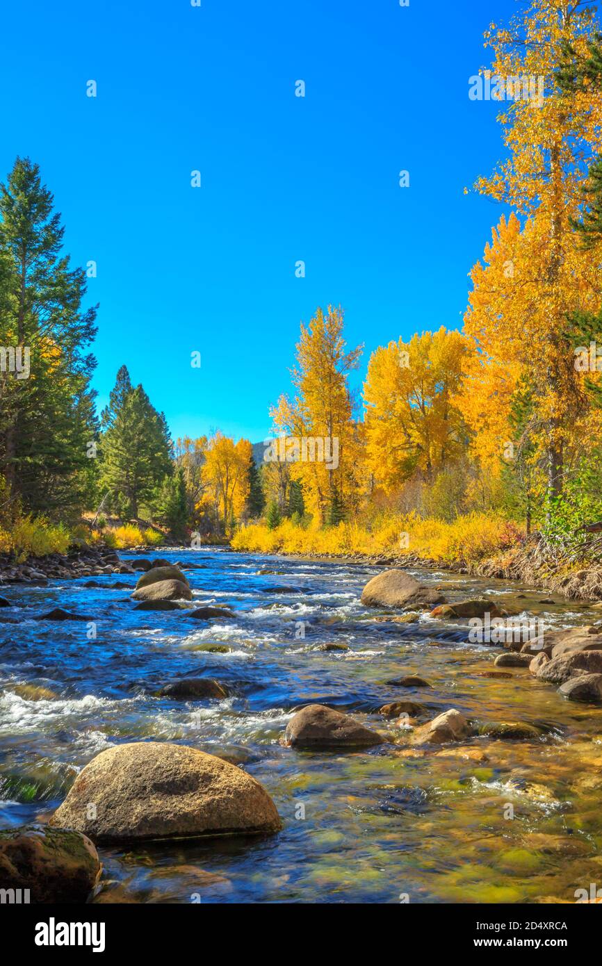 fall colors along the wise river near wise river, montana Stock Photo ...