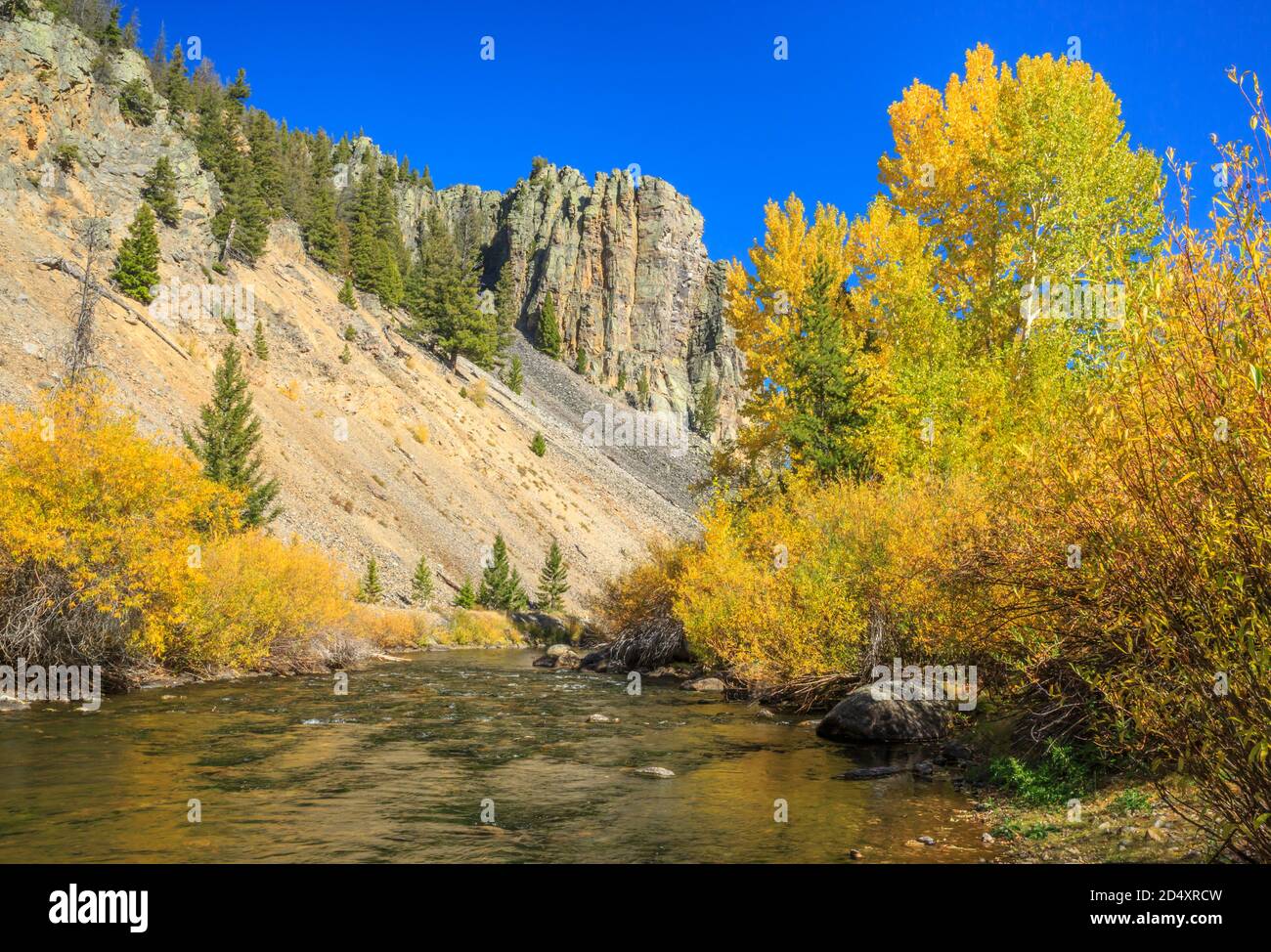 fall colors along the wise river near wise river, montana Stock Photo ...