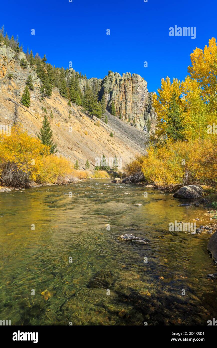 fall colors along the wise river near wise river, montana Stock Photo ...