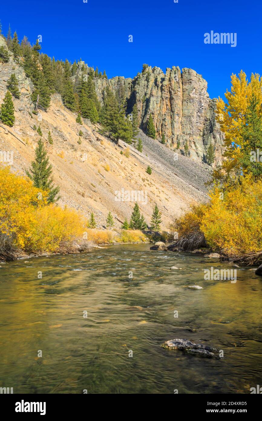 fall colors along the wise river near wise river, montana Stock Photo ...