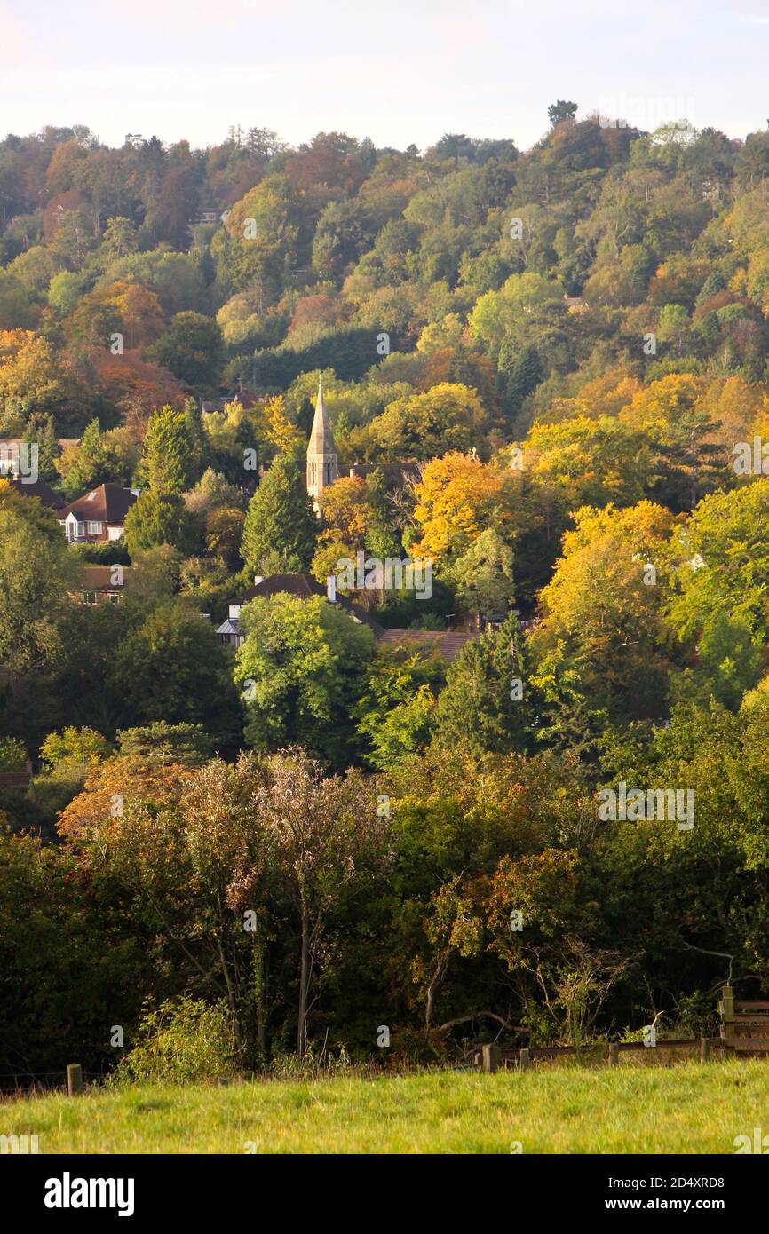 Landscape view across the valley between Riddlesdown common land and ...