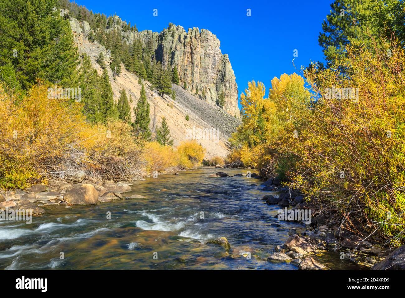 fall colors along the wise river near wise river, montana Stock Photo ...