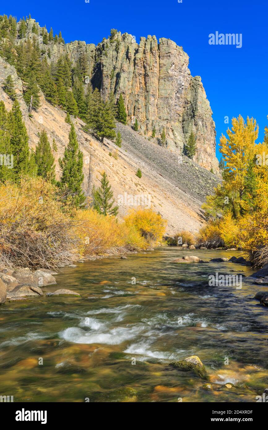 fall colors along the wise river near wise river, montana Stock Photo ...