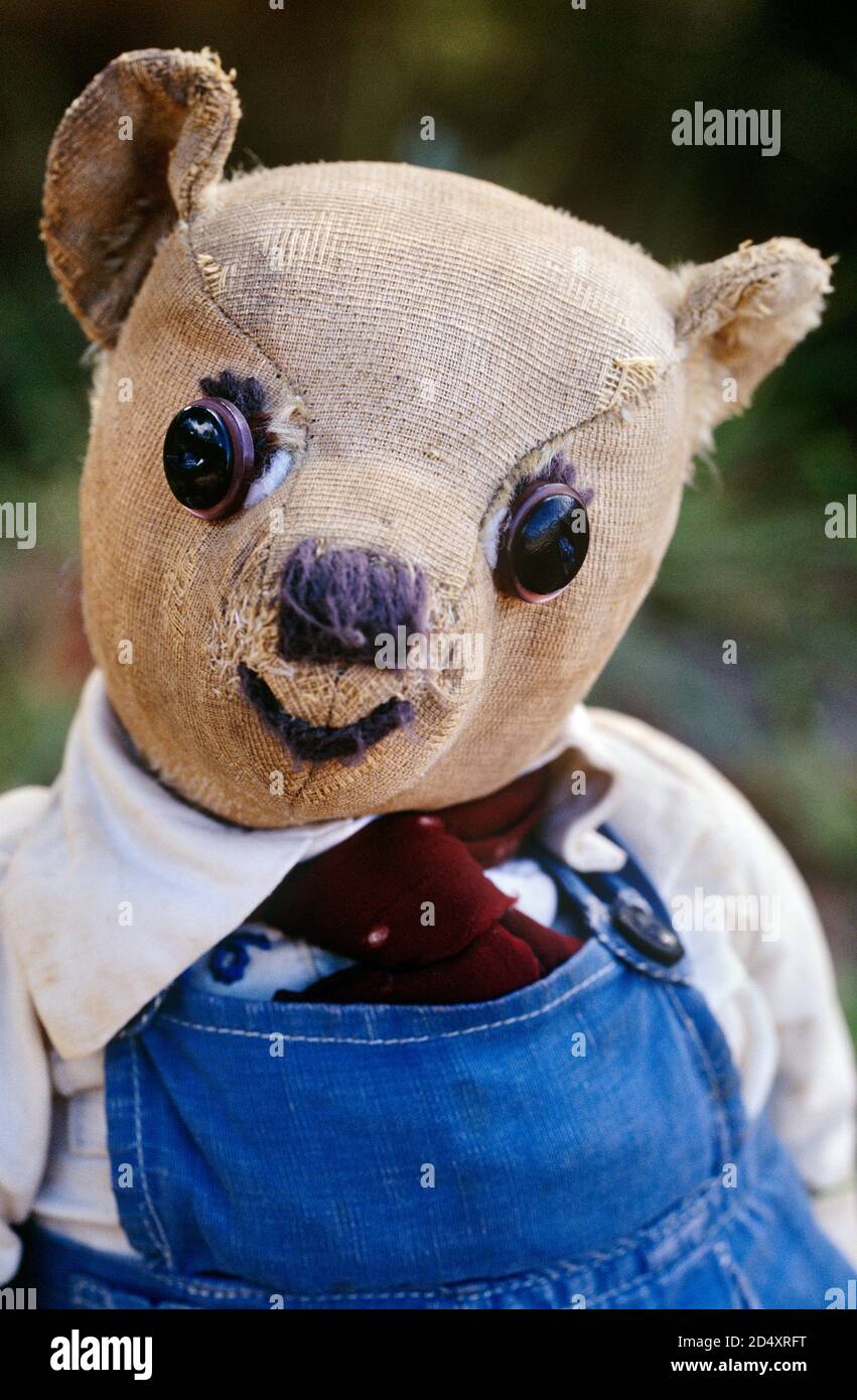Humorous pose bear hi-res stock photography and images - Alamy