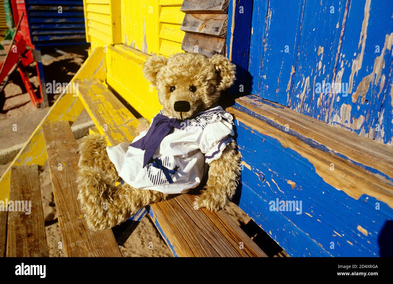 Humorous pose bear hi-res stock photography and images - Alamy