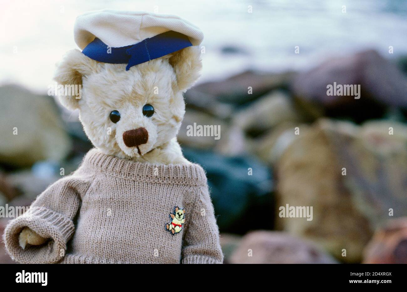 Humorous pose bear hi-res stock photography and images - Alamy