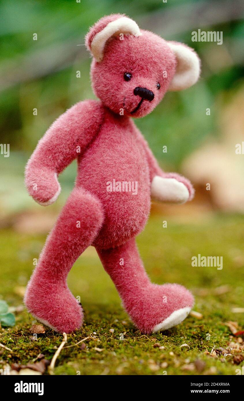 Humorous pose bear hi-res stock photography and images - Alamy