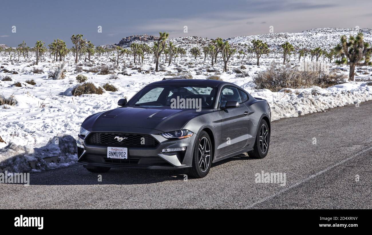 Ford mustang road national park hi-res stock photography and images - Alamy