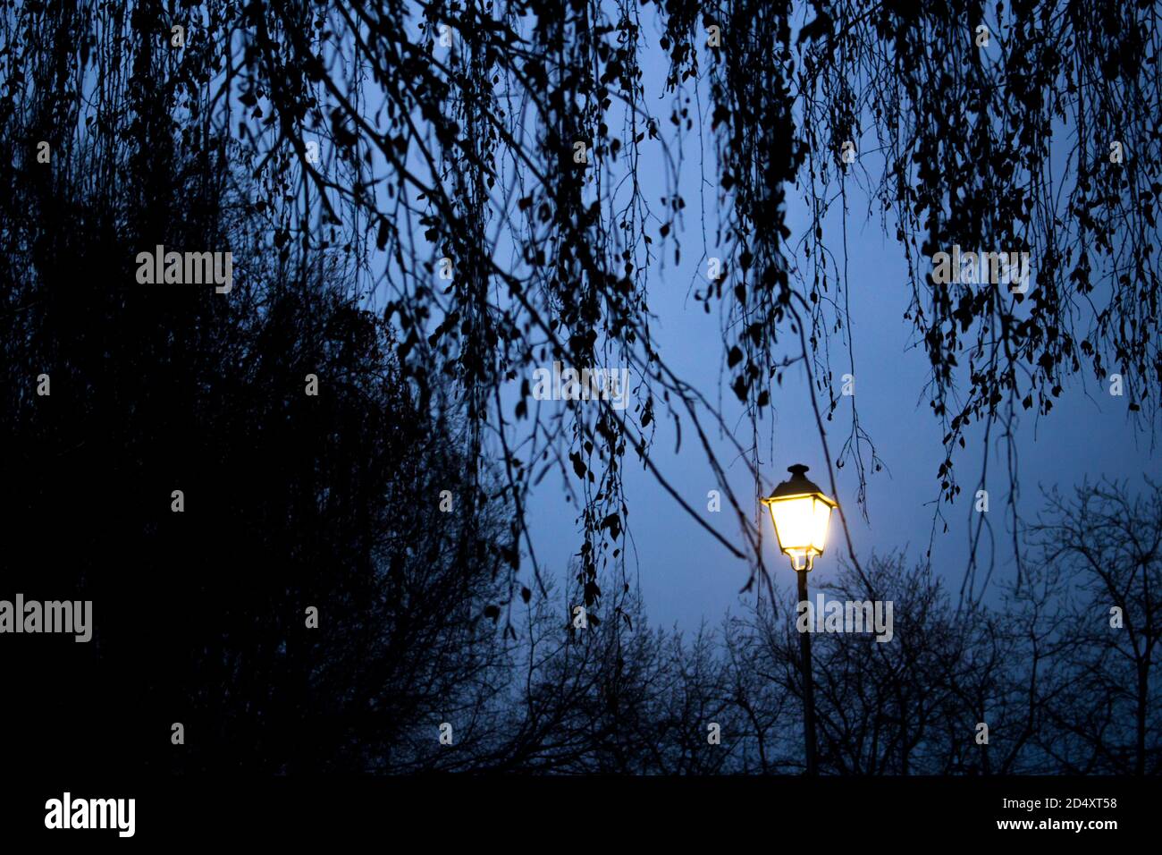 lamp post in a dark and creepy public park at dawn Stock Photo - Alamy