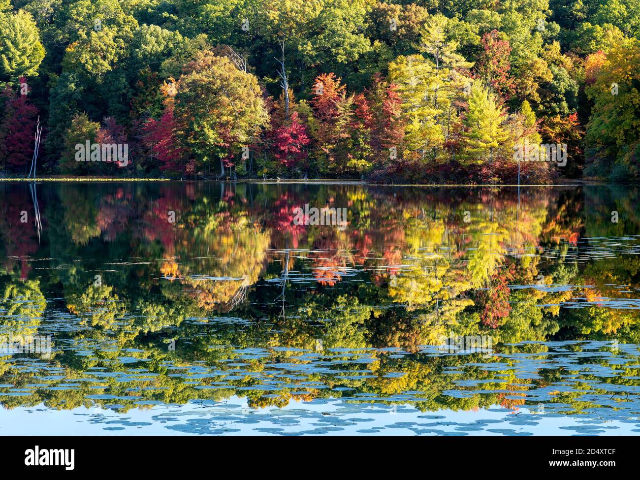 Hall Lake, Autumn, Yankee Springs Recreation Area, MI, USA, by James D ...