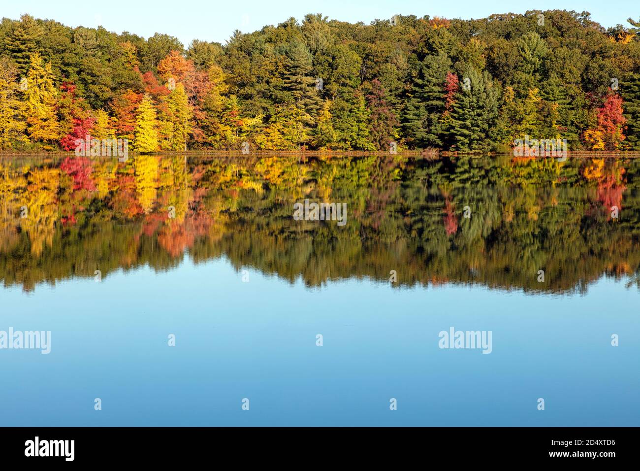 Hall Lake, Autumn, Yankee Springs Recreation Area, MI, USA, by James D ...