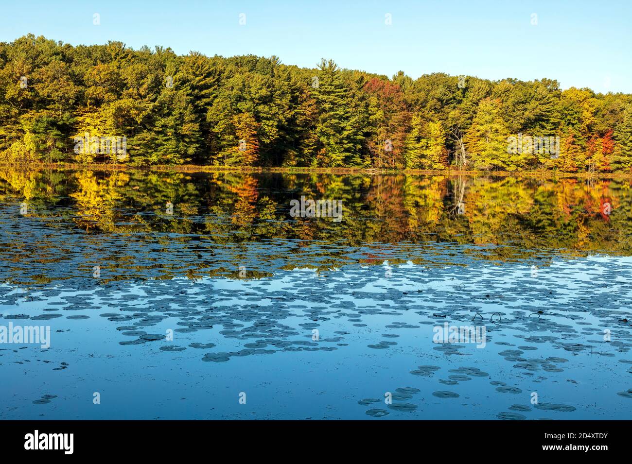 Hall Lake, Autumn, Yankee Springs Recreation Area, MI, USA, by James D ...