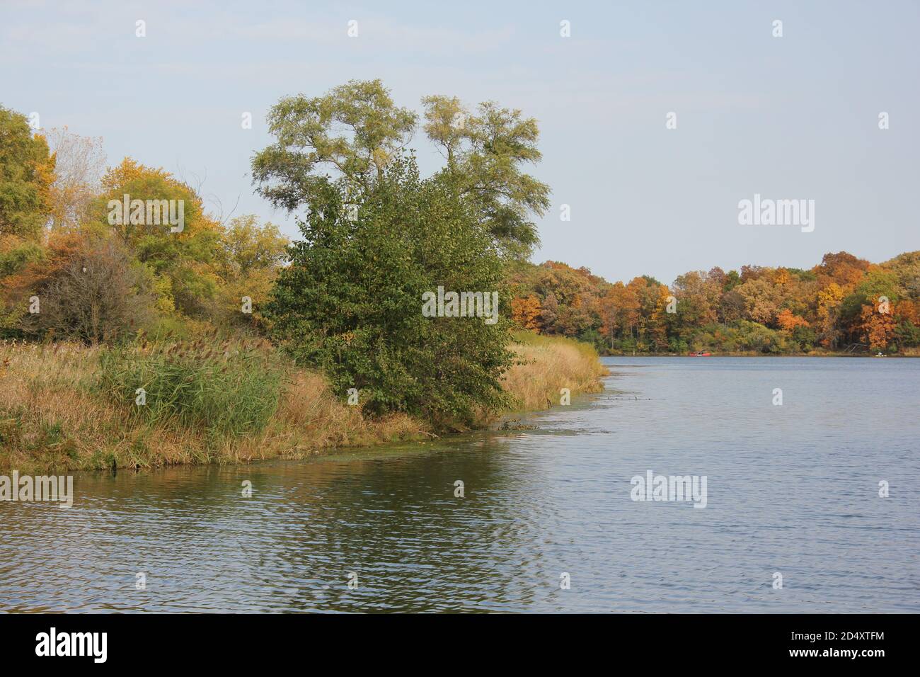 Beautiful autumn colors on display in the deep woods along the lake ...