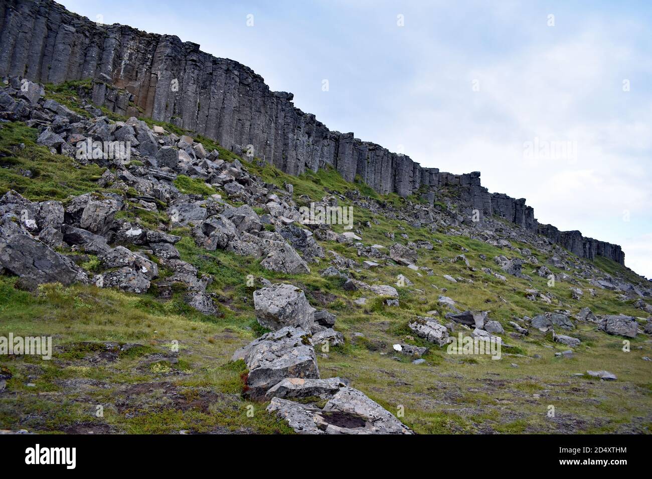 The hexagonal black lava rock of the Gerðuberg Cliffs, (Gerduberg ...