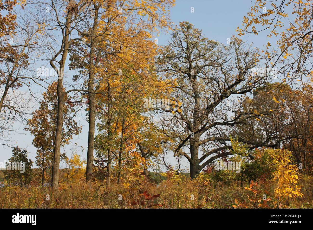The beautiful fall colors showing themselves on an autumn day in the ...