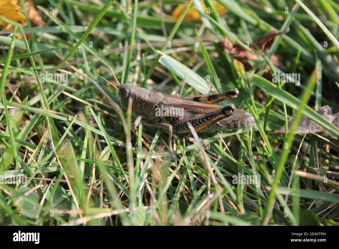 Enjoying the brisk fall air hi-res stock photography and images - Alamy