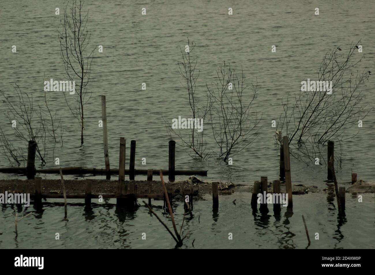 Wetland Buffer High Resolution Stock Photography and Images - Alamy
