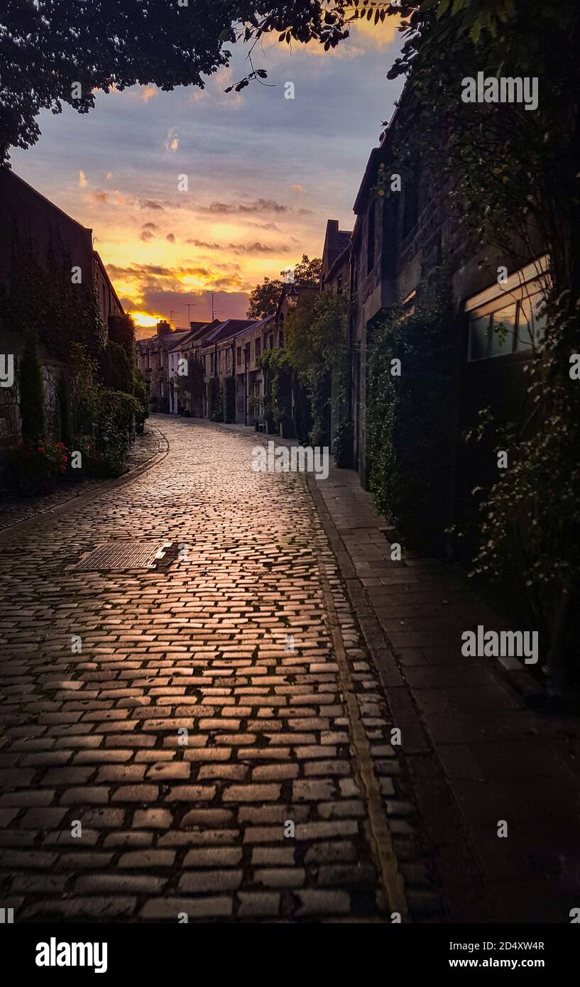 Golden hour street hi-res stock photography and images - Alamy