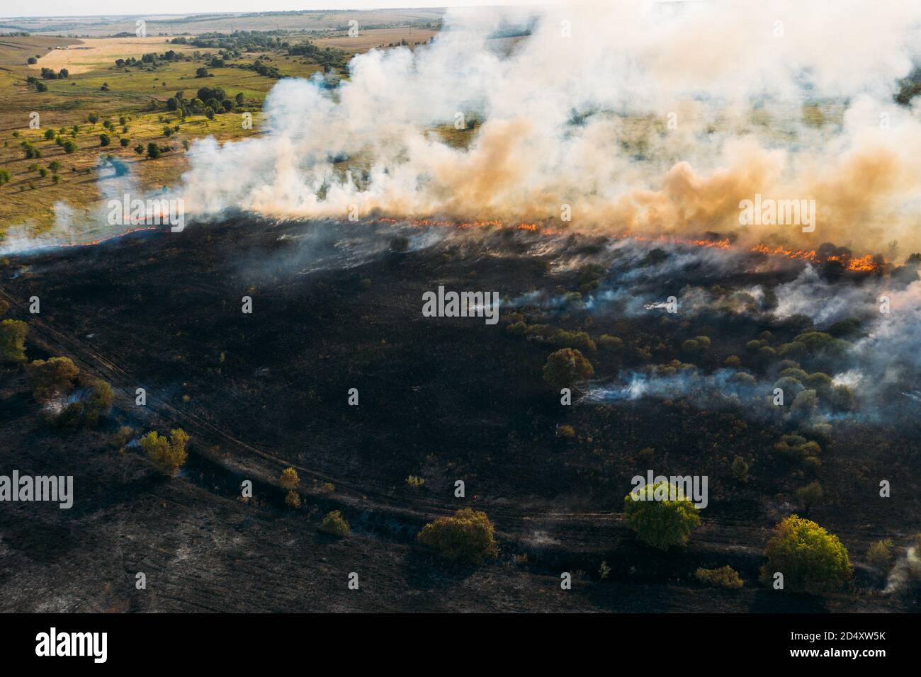 Forest fire aerial view, wildfire after dry summer season, burning ...