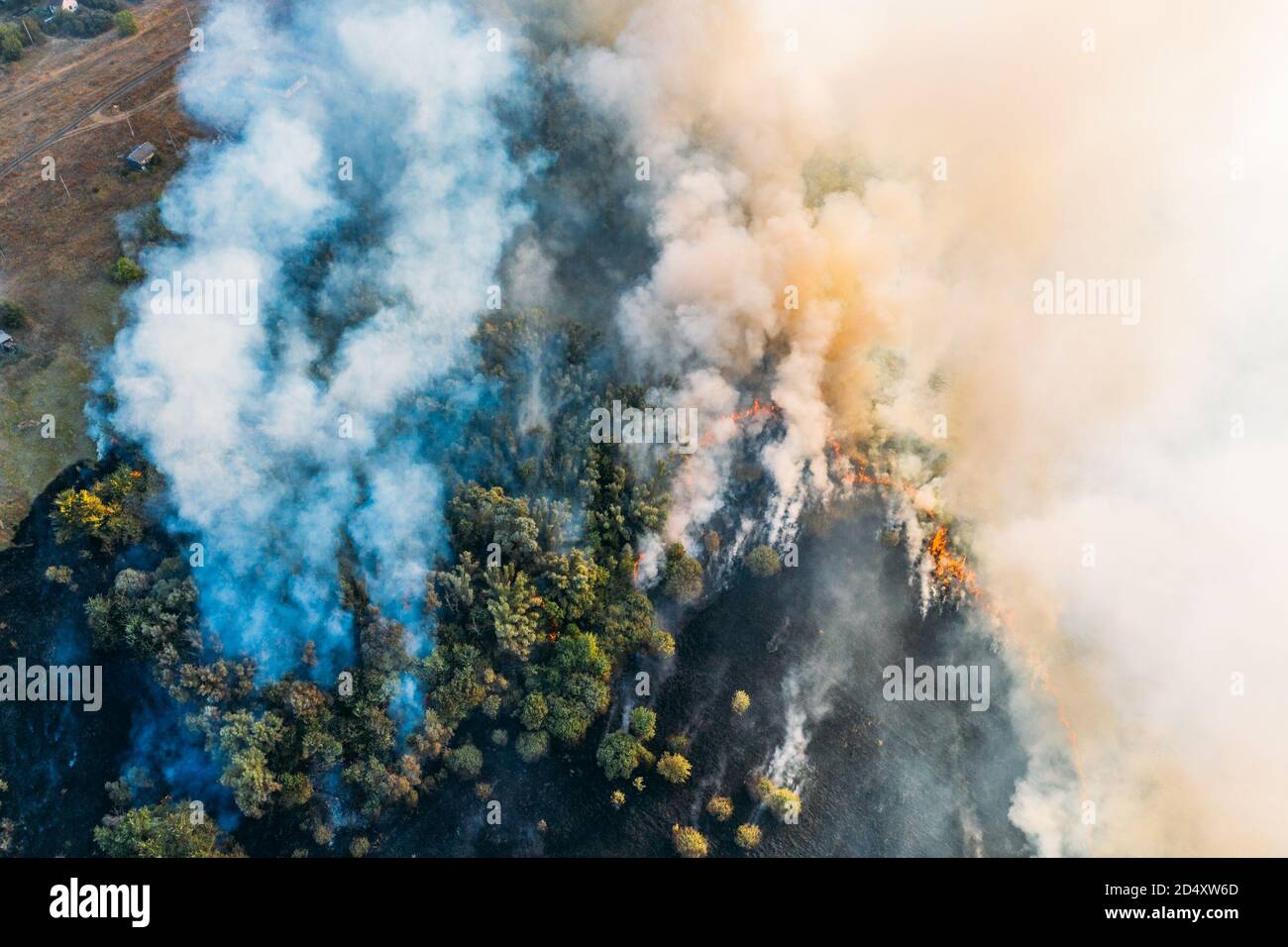 Forest and field fire, burning dry grass and trees with huge smoke ...