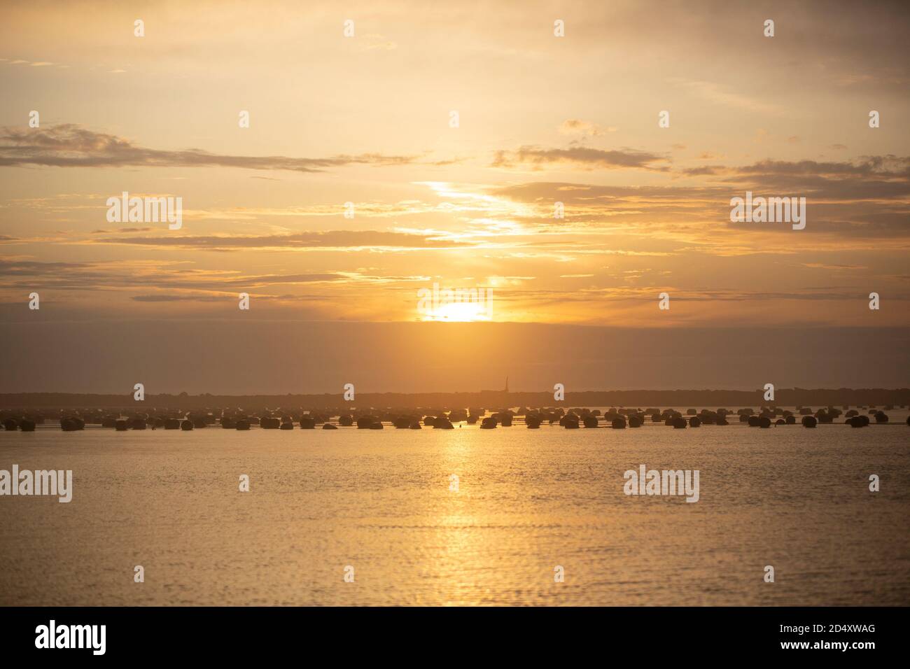 Distant dark pilings and a cloudy sky in the sunset light at the beach ...