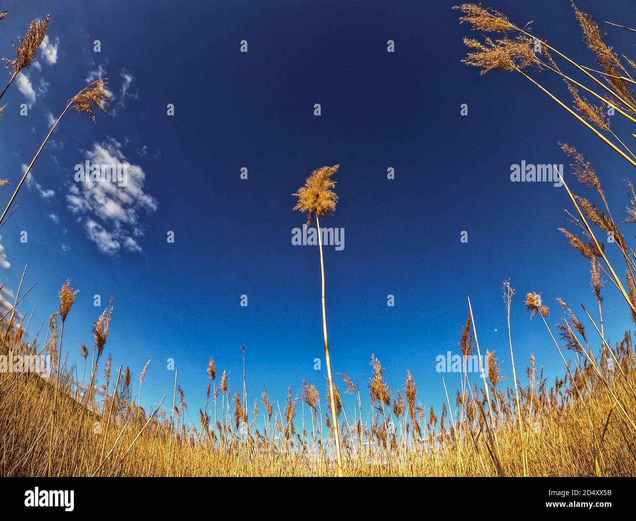 travel photographs 2020 around. Europe Stock Photo - Alamy