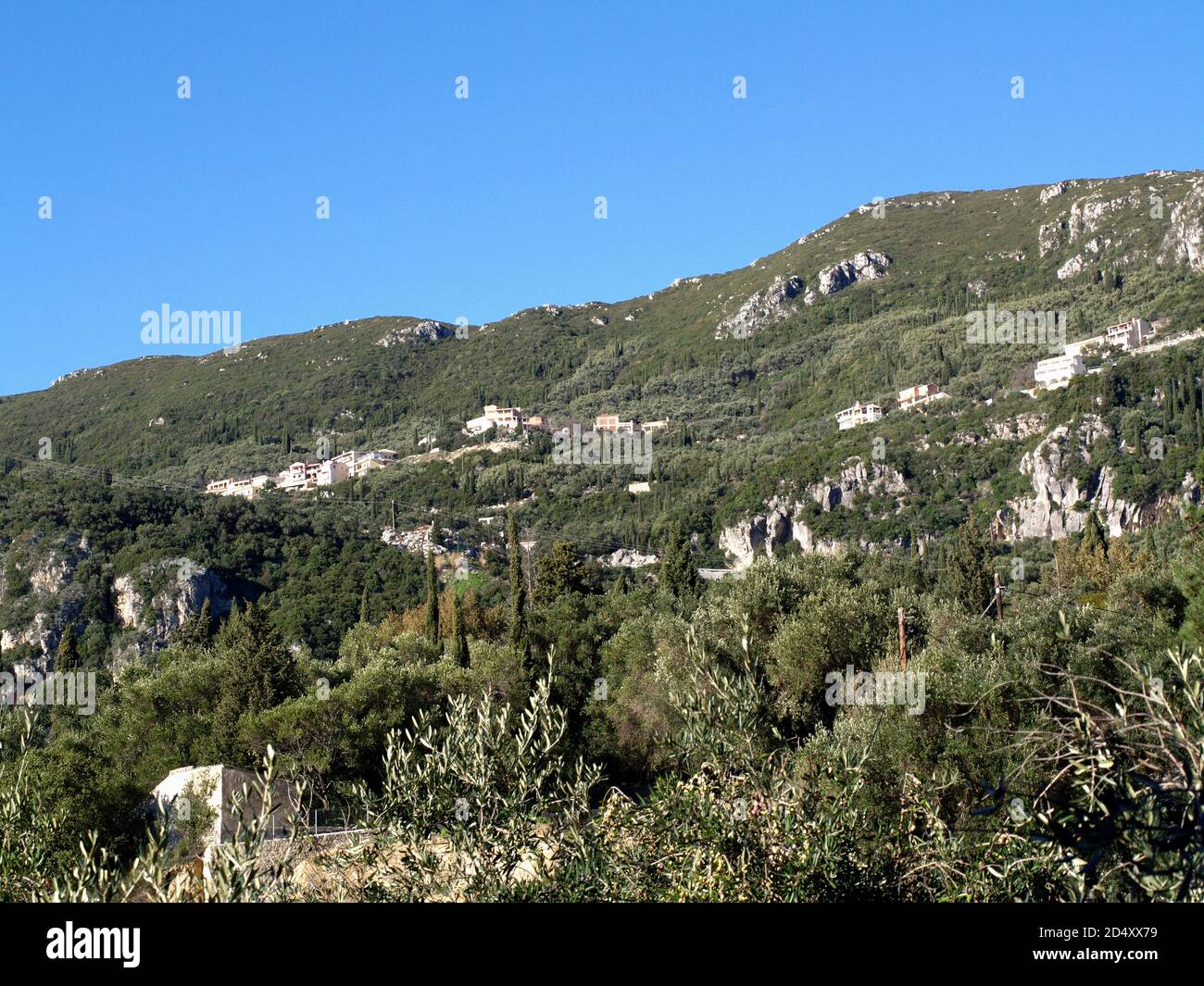 Olive groves in hills overlooking Paleokastritsa, Corfu, Greece Stock ...