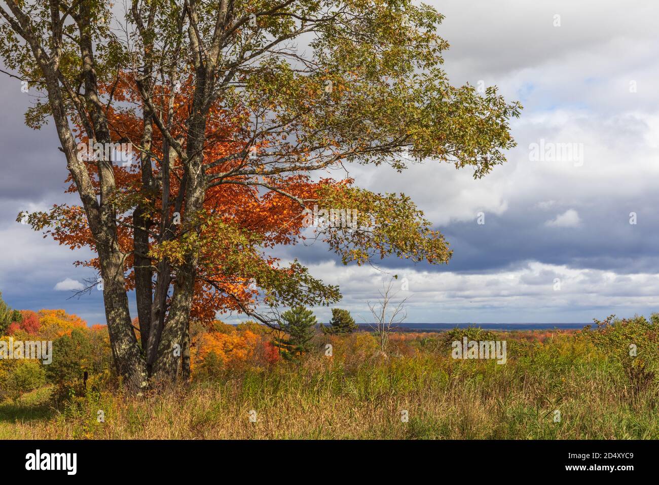 A beautiful autumn view in northern Wisconsin Stock Photo - Alamy