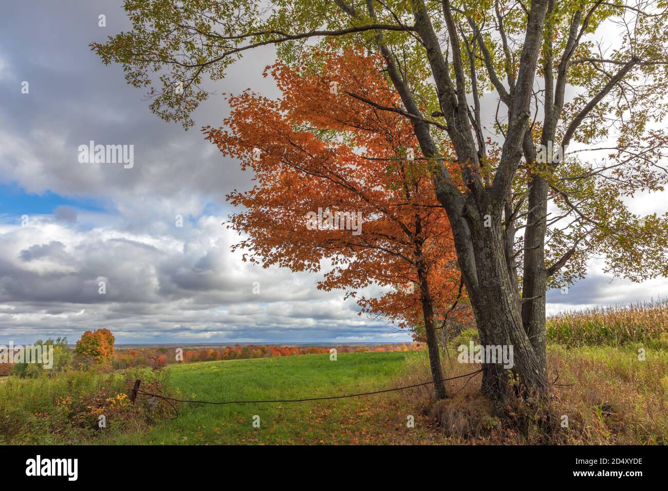 A beautiful autumn view in northern Wisconsin Stock Photo - Alamy