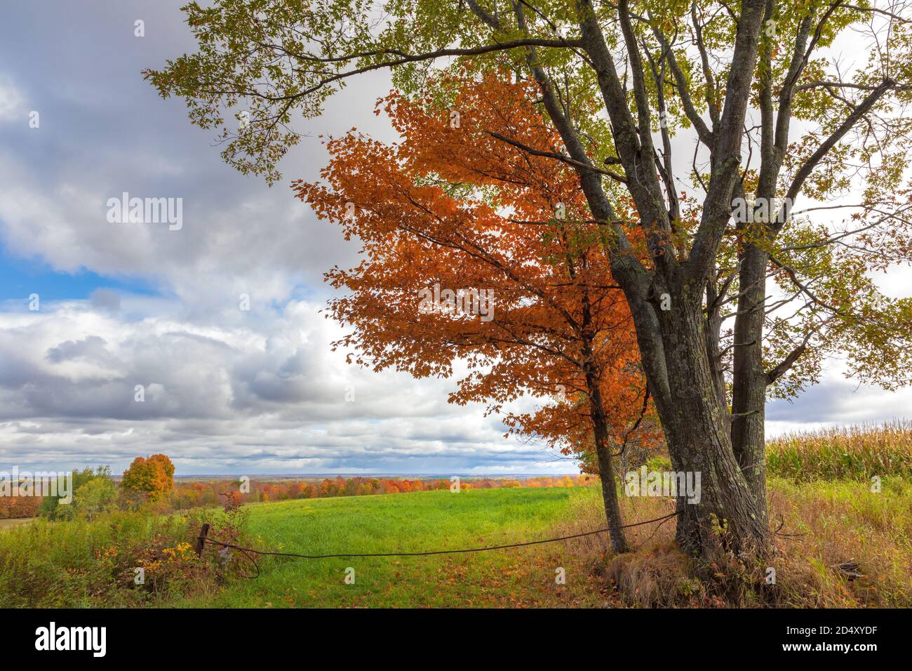 A beautiful autumn view in northern Wisconsin Stock Photo - Alamy