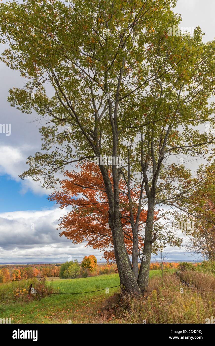 A beautiful autumn view in northern Wisconsin Stock Photo - Alamy