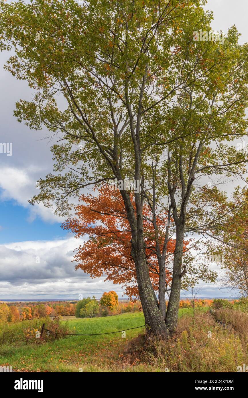 A beautiful autumn view in northern Wisconsin Stock Photo - Alamy