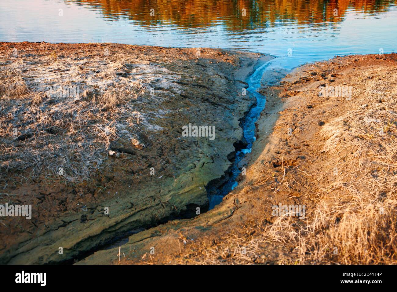 Brook flows into the river . Streamlet stream Stock Photo - Alamy