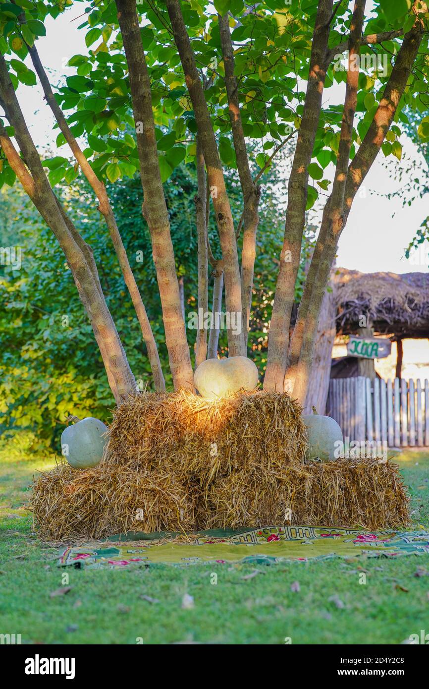 Vertical image of a hay bales in a yard forming an idilic countryside ...