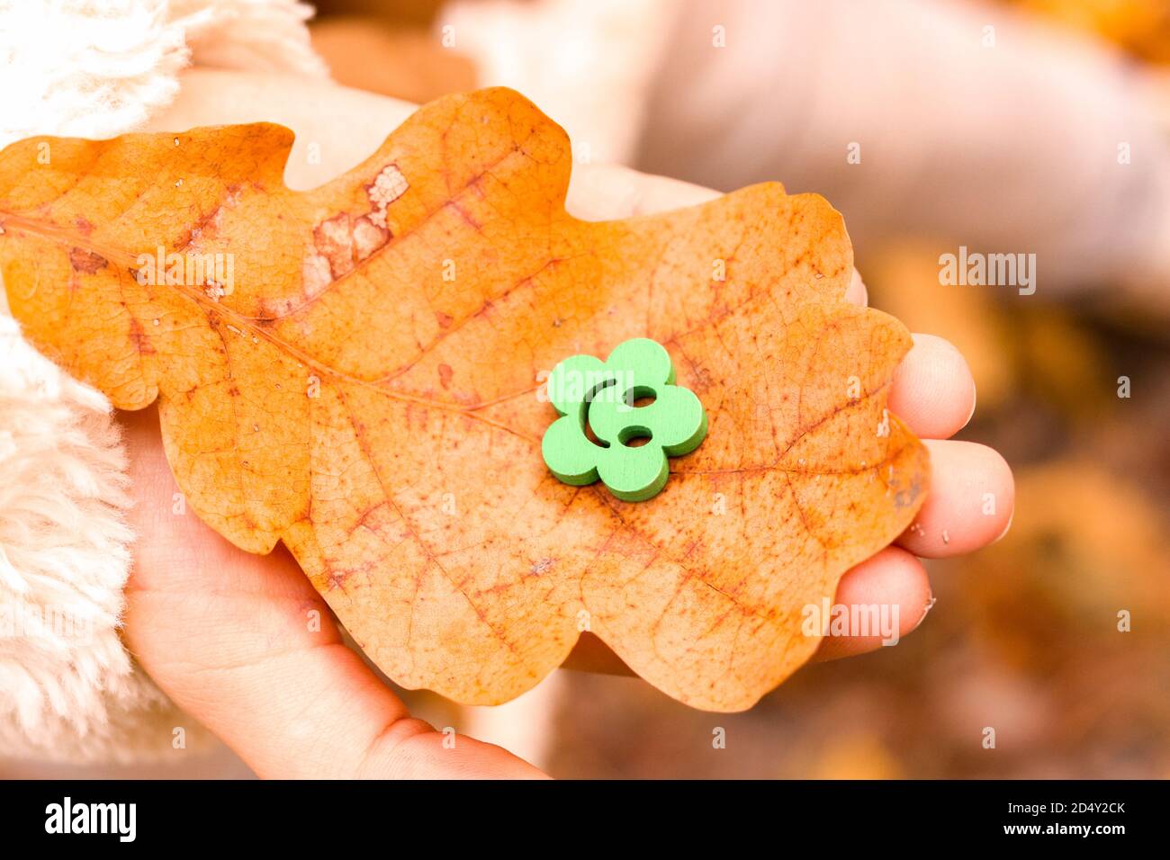 Child palm hi-res stock photography and images - Alamy