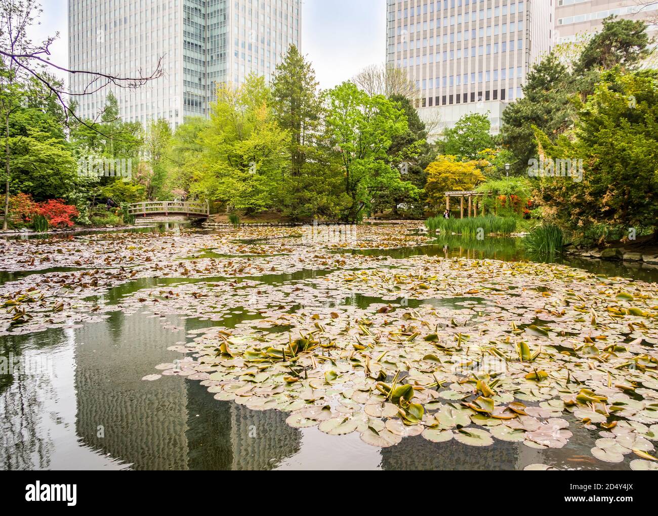 Sapporo spring hi-res stock photography and images - Alamy