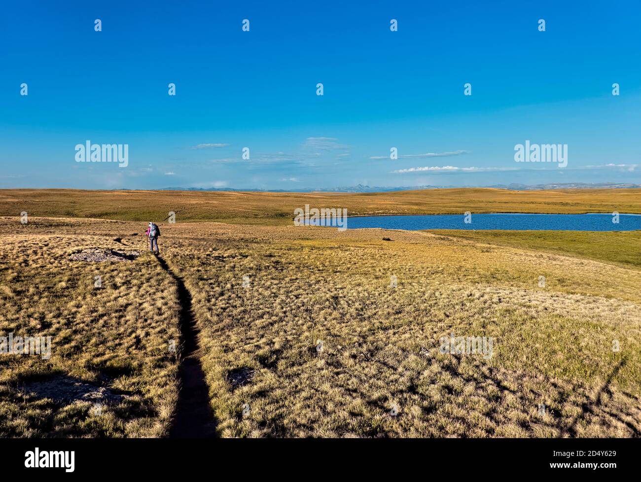 Hiking on the Snow Mesa, Colorado Trail, Colorado Stock Photo - Alamy