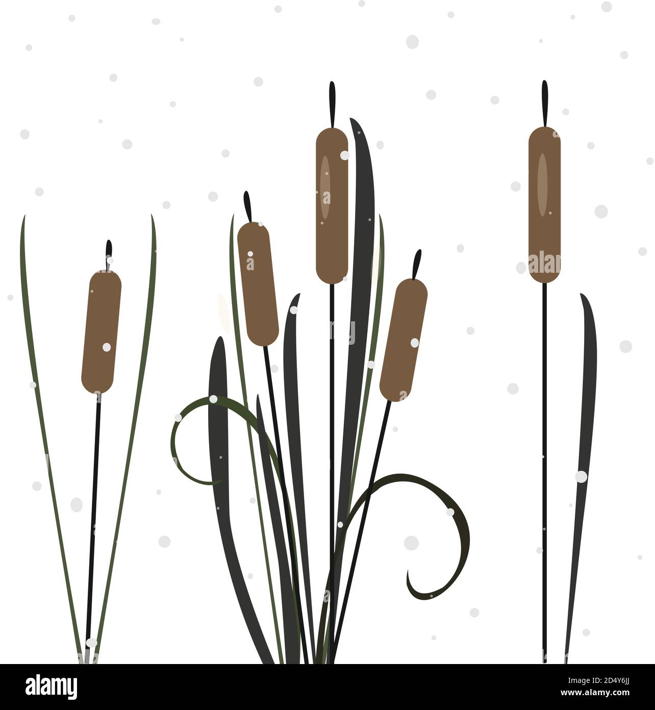 Cute Bush of Reed on modern background. Decorative Elements. Vector ...