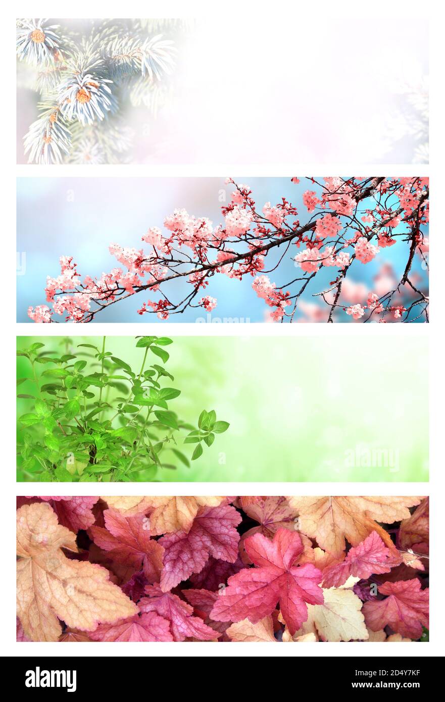 Four seasons of year. Set of horizontal nature banners with winter ...