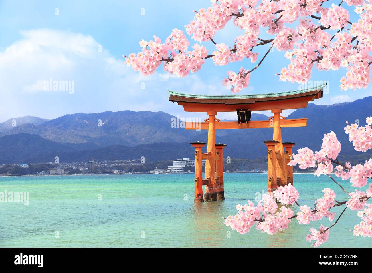 Floating Torii gate (O-Torii) and branch of the blossoming sakura with ...