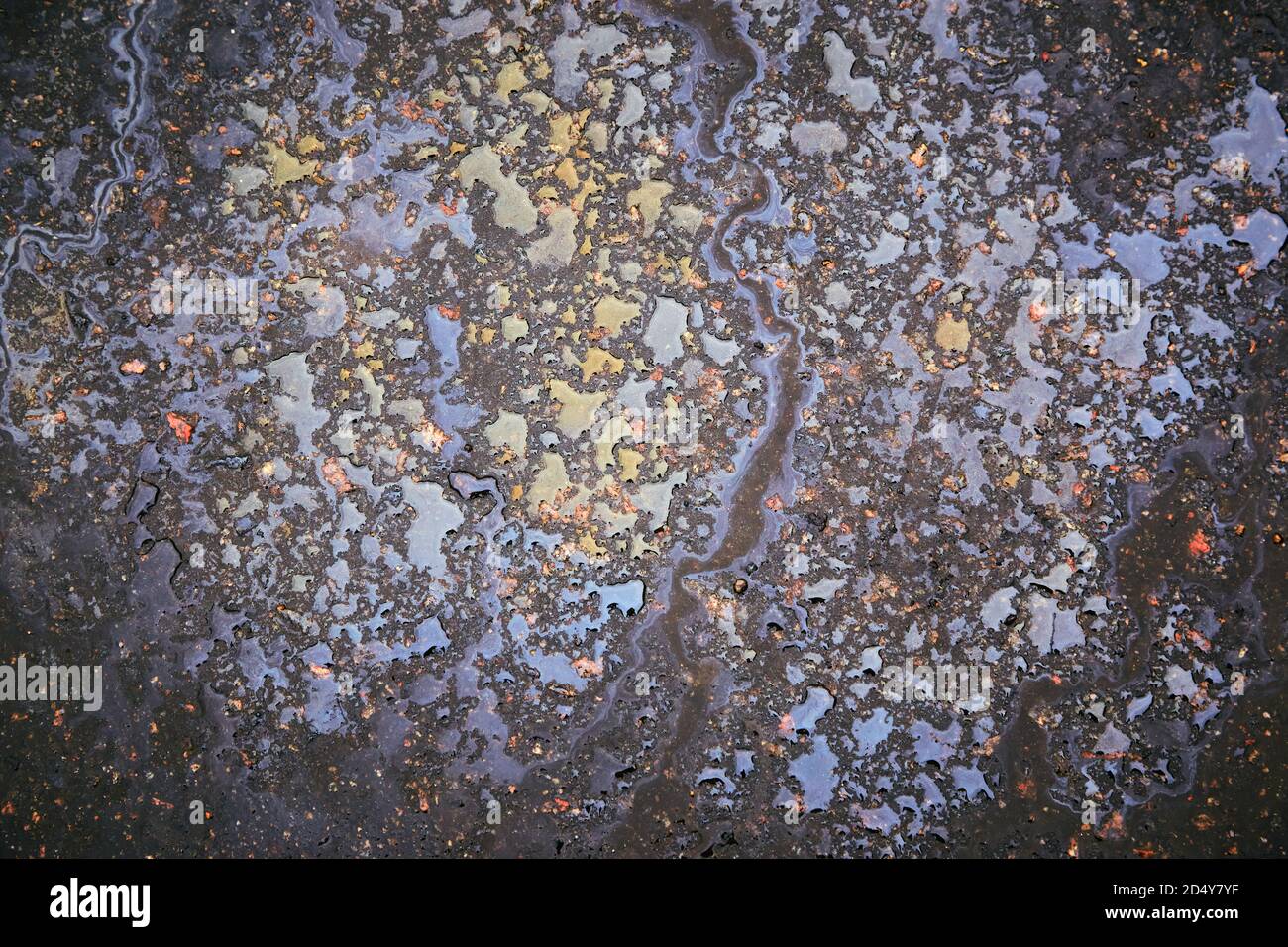 Oil stain on wet asphalt caused by a leak under a car or truck Stock ...