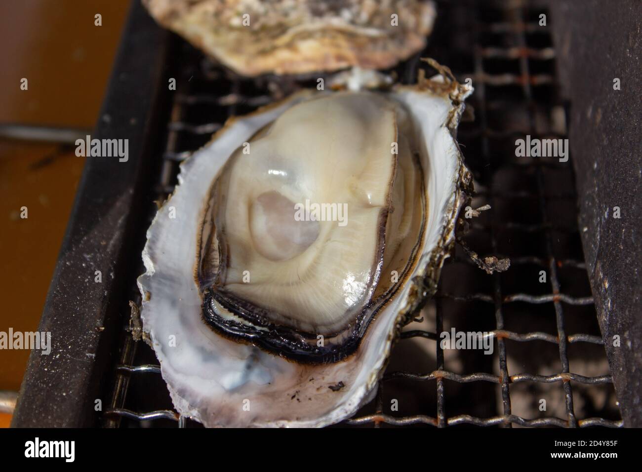closeup of grilled oyster, BBQ, at Hiroshima Stock Photo - Alamy