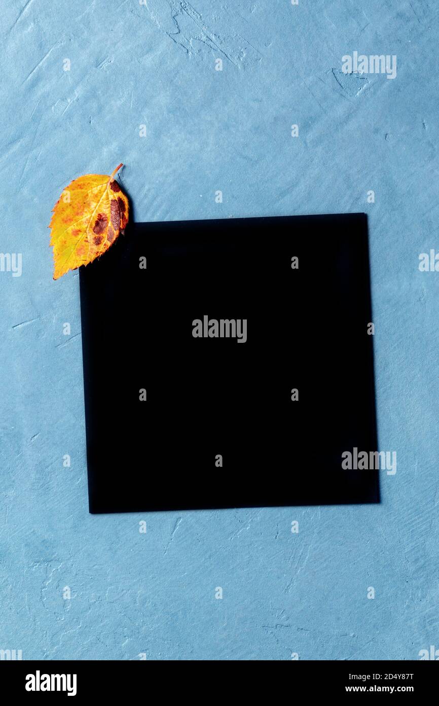 Autumn stationery mockup, overhead flat lay shot Stock Photo - Alamy