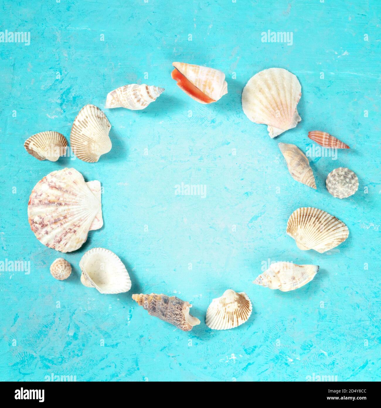 Composition from sea shells hi-res stock photography and images - Alamy