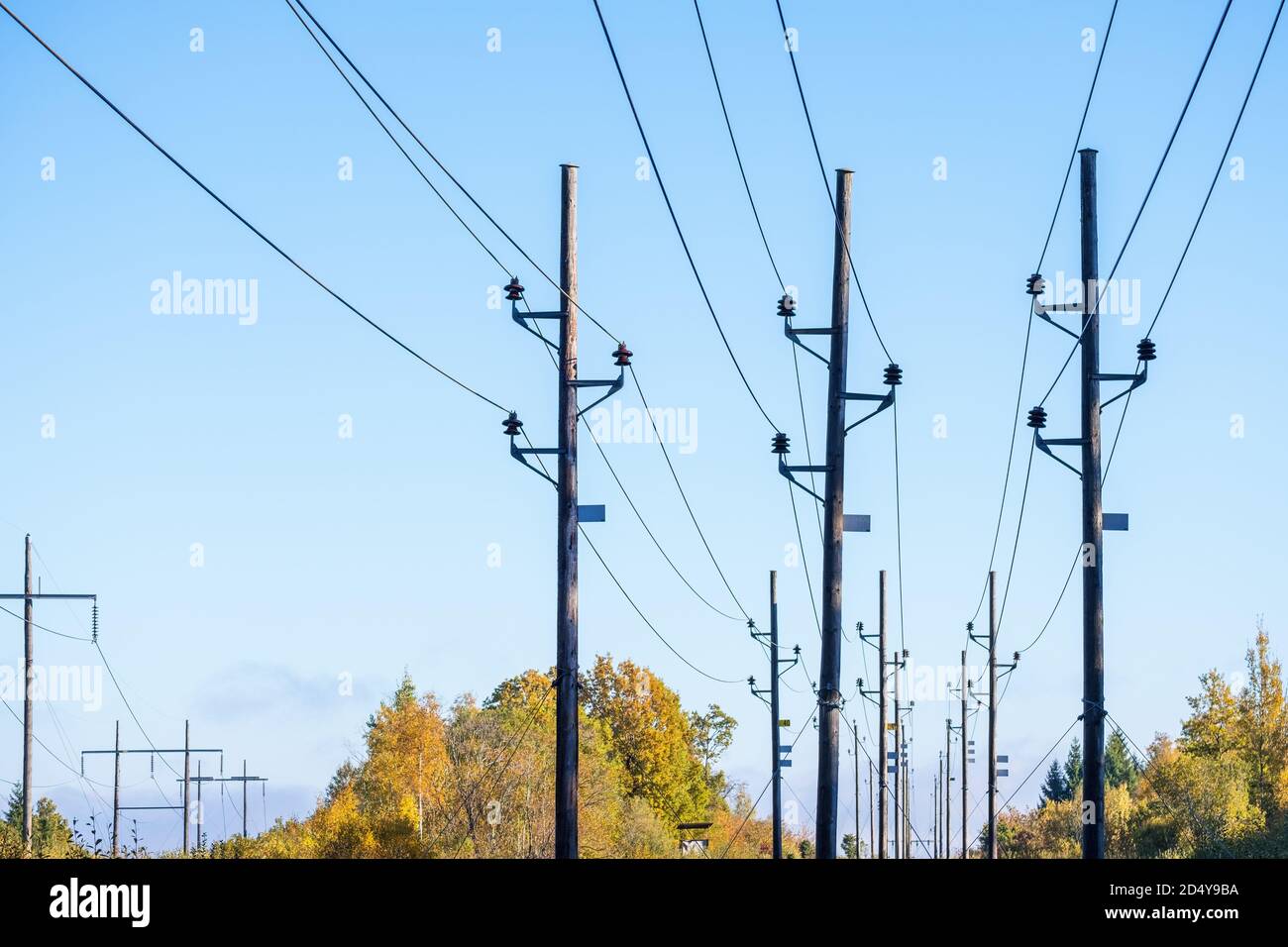 Power line corridor with many power line posts Stock Photo - Alamy