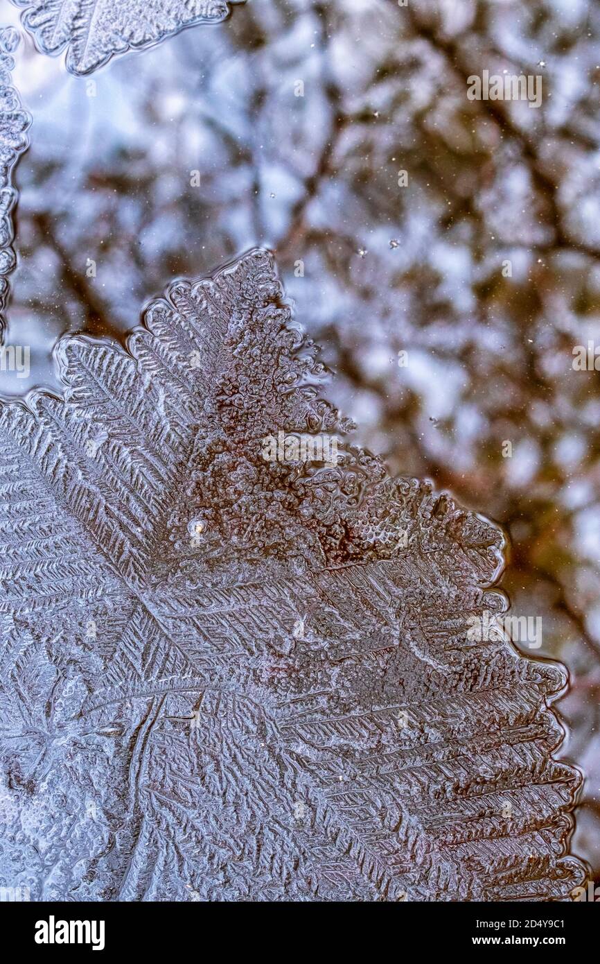 Ice pattern in the water Stock Photo - Alamy