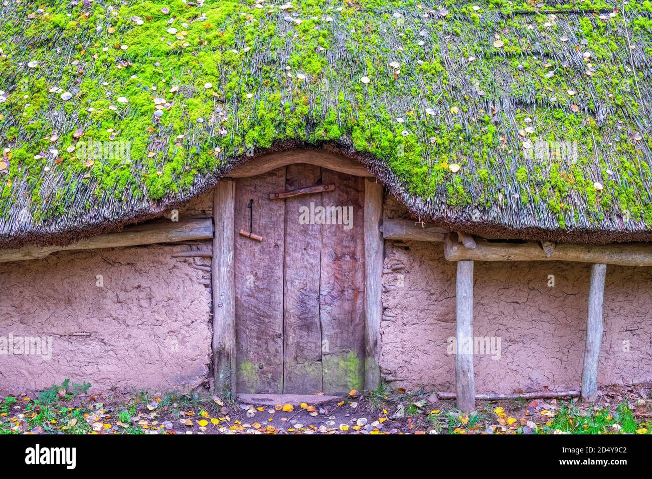 Old Longhouse in clay and logs with a thatched roof Stock Photo - Alamy