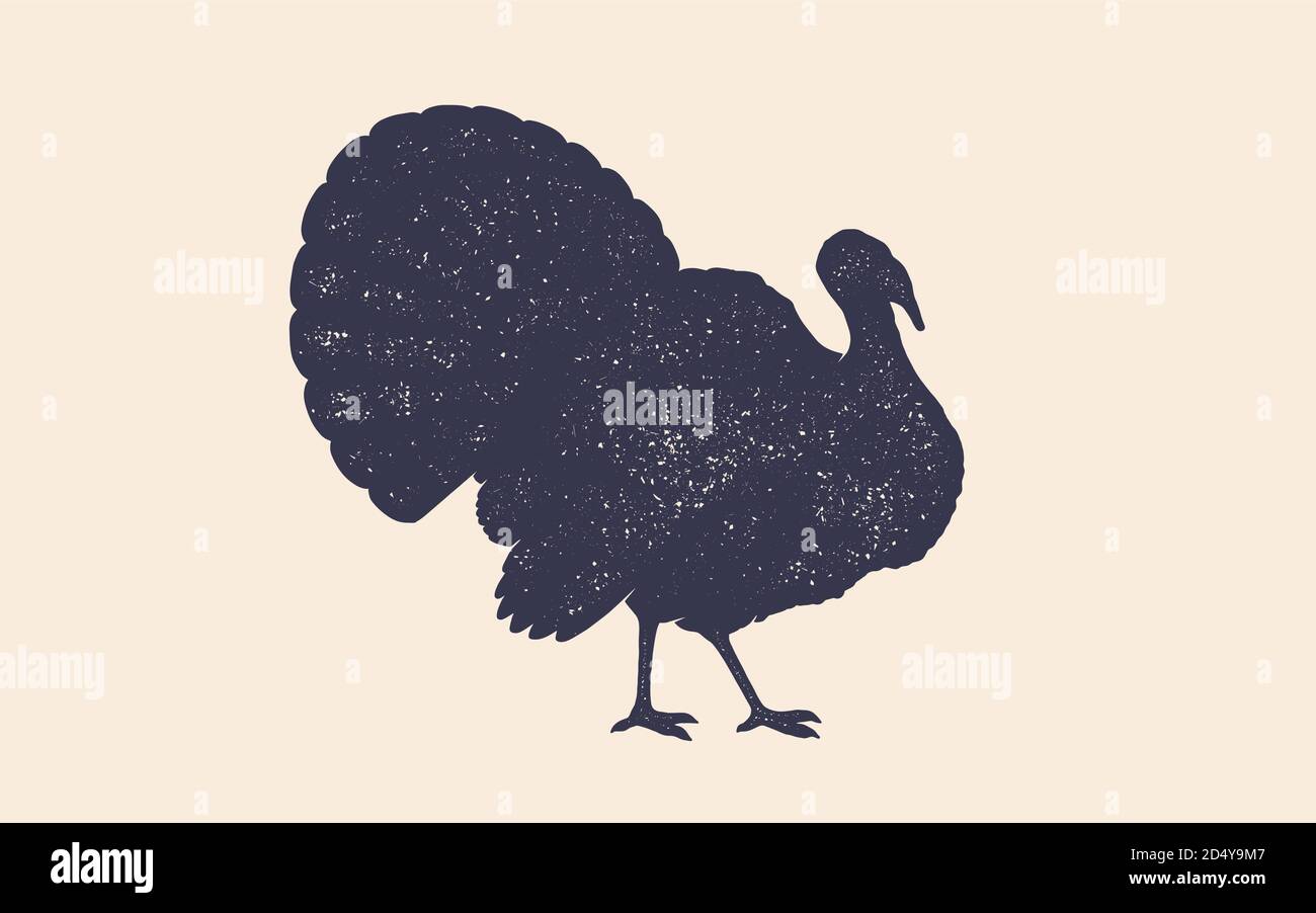 Turkey. Vintage retro print Stock Vector Image & Art - Alamy